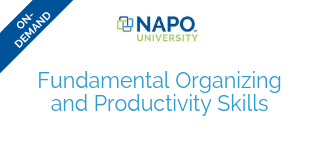 Courses | NAPO University